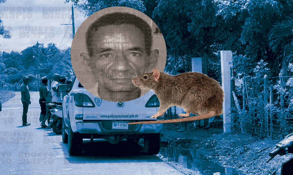 Hombre muere por supuesta mordida de ratòn en Villa Riva - EL PORTAVOZ